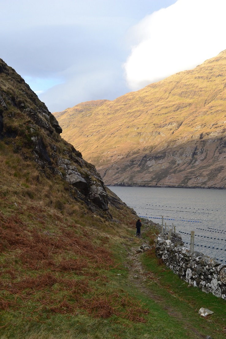 Is it a Fjord or a Fjard?? - TerraForm